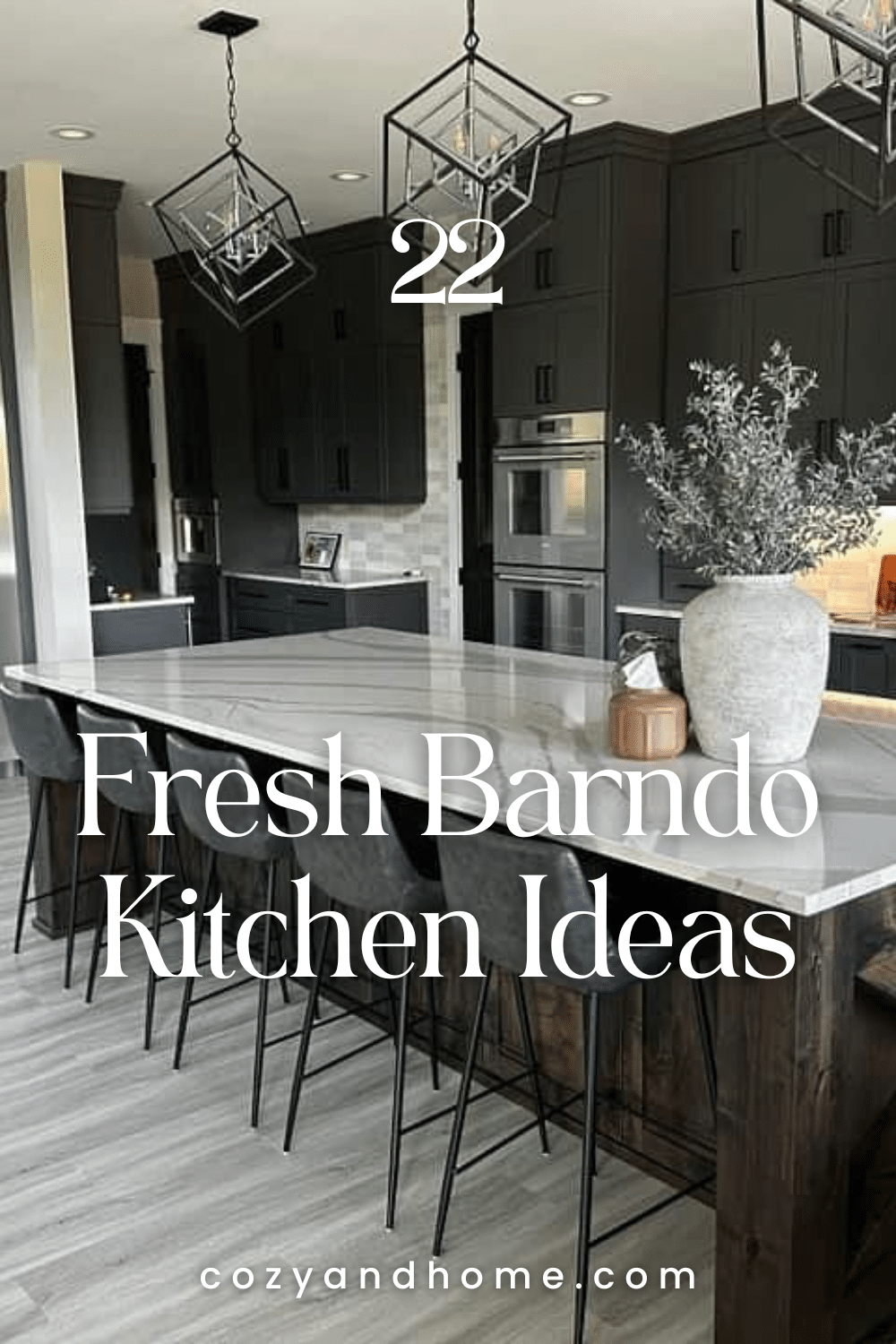 22 Elevated Barndo Kitchen Ideas – Cozy & Home